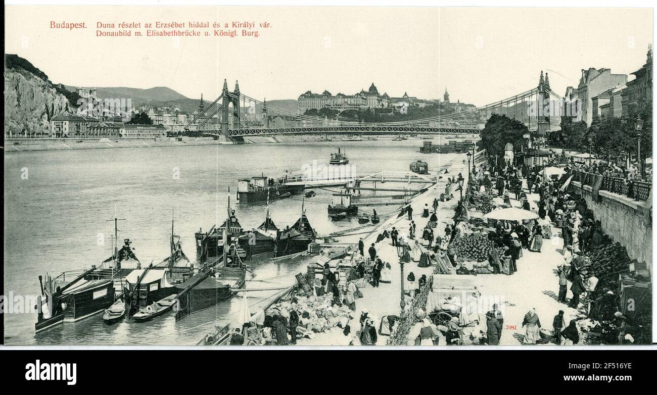 Danube picture with Elisabethbrücke and royal castle Budapest. Panorama ...