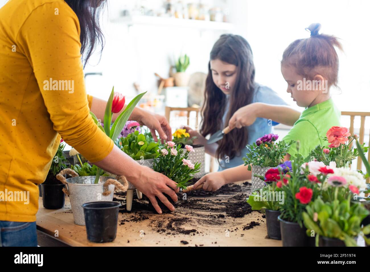 Family daughter take care plants hi-res stock photography and images ...