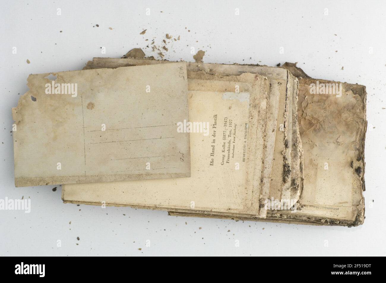 Written estimate of the sculptor Etha Richter and her husband, the veterinary Hans Richter ...