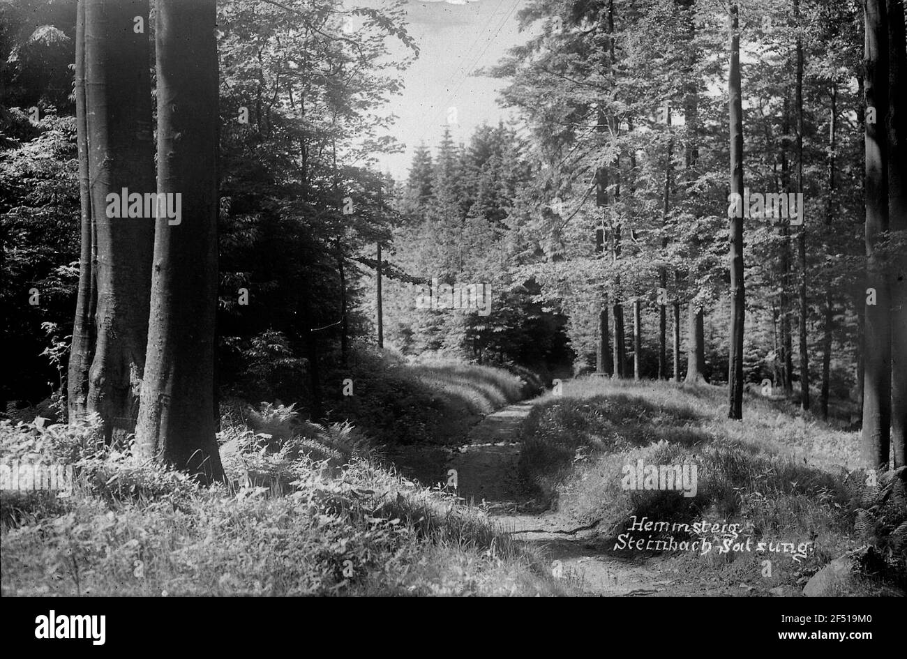 Landscape at the Hemm Rise Stock Photo - Alamy