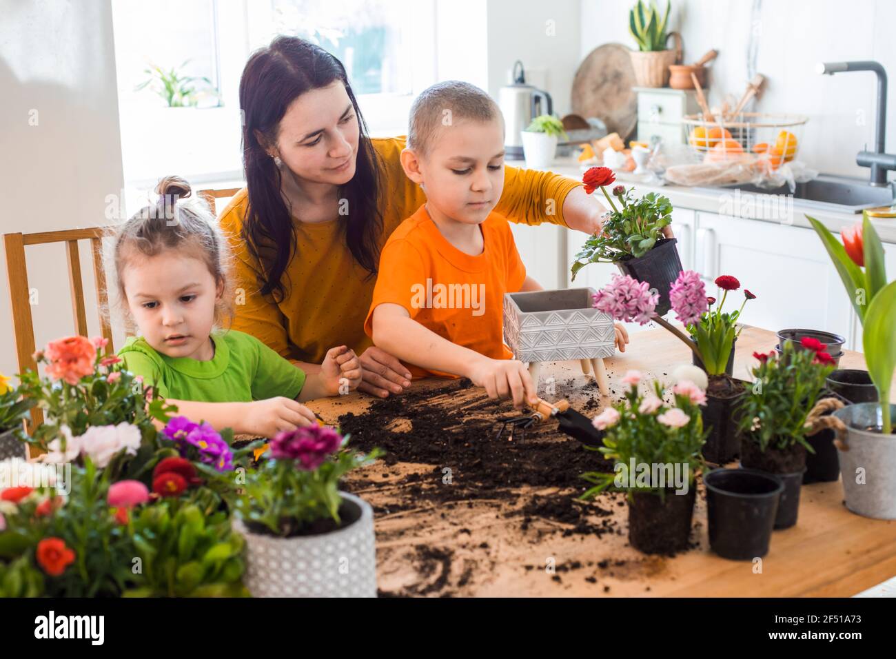 Mess and dirt on a table while spring home flowers planting Stock Photo ...