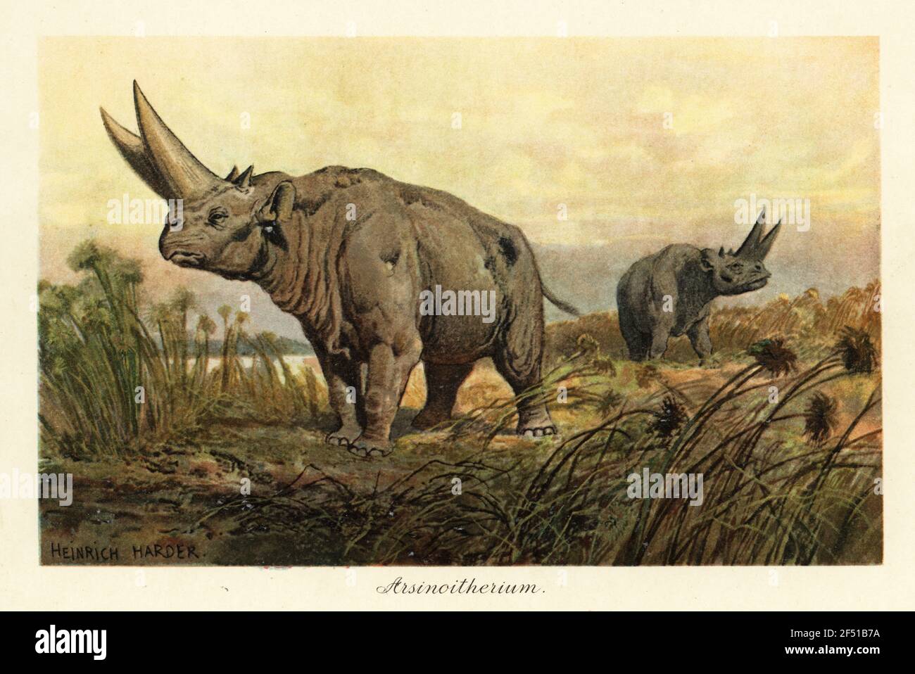 Arsinoitherium King Kong