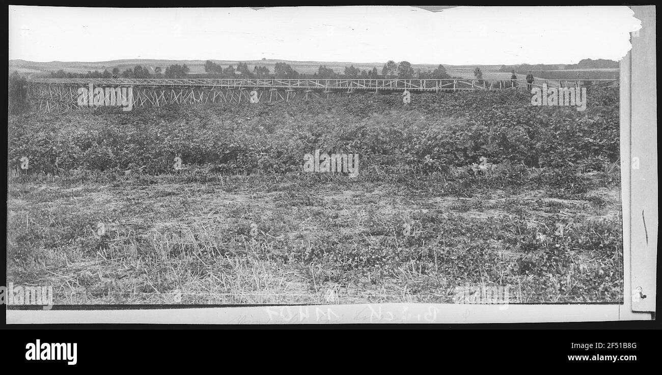 Luga. German railway troops viaduct at Luga Stock Photo - Alamy