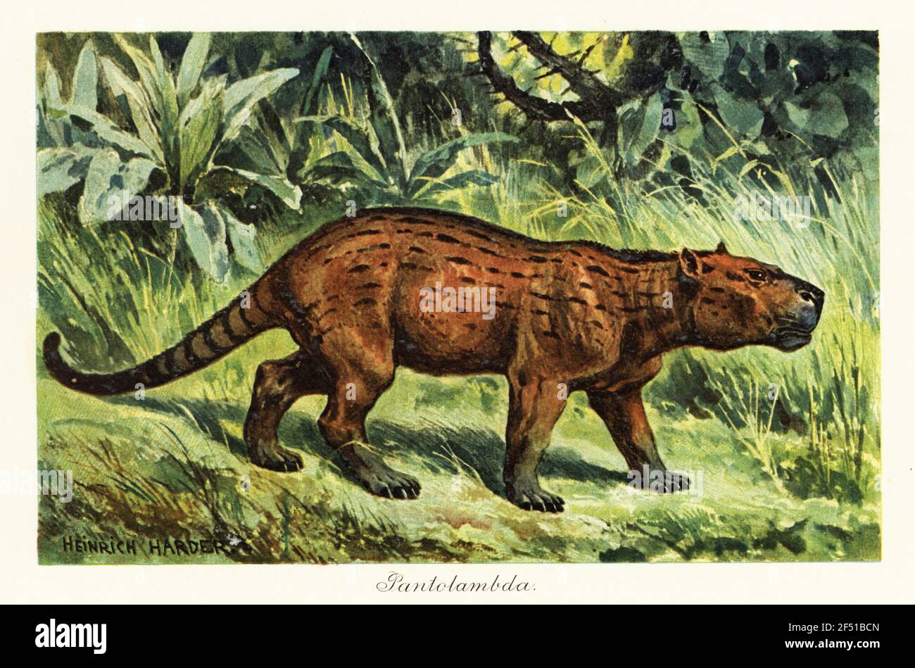 Paleocene hi-res stock photography and images - Alamy