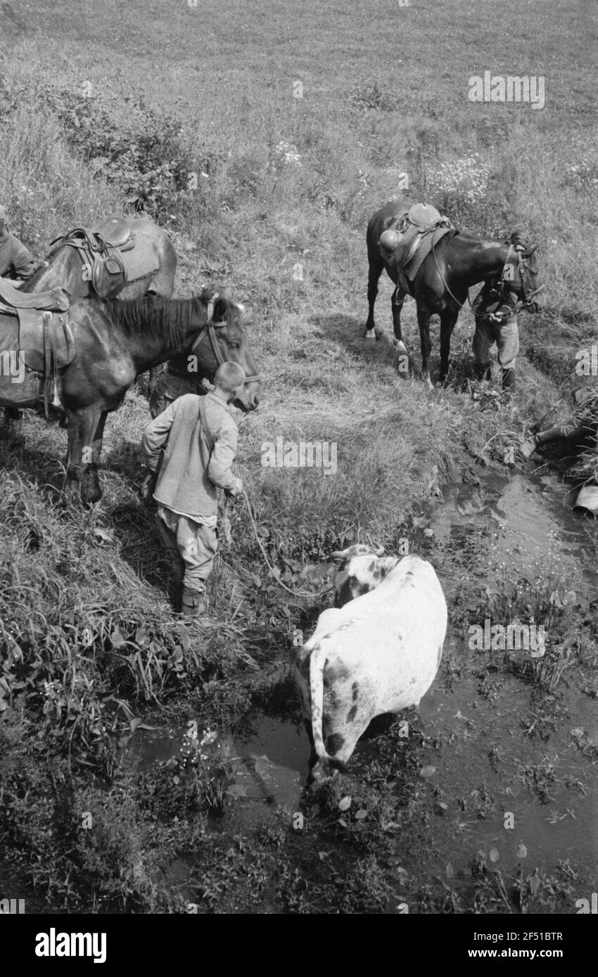 Second World War. Soviet Union. At a waterellet. Two men with horses ...