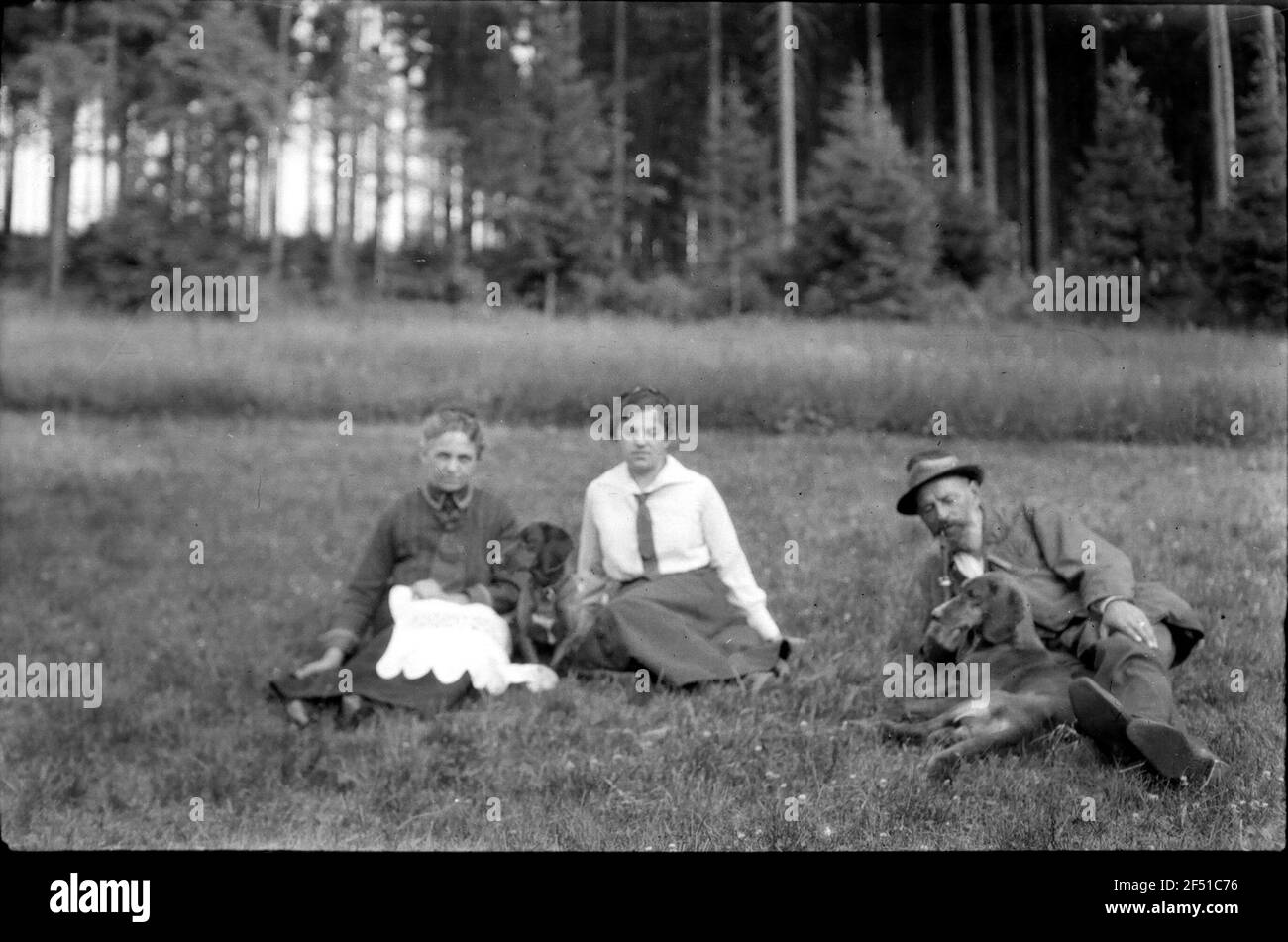 Rest at the edge of the forest with dogs Stock Photo - Alamy