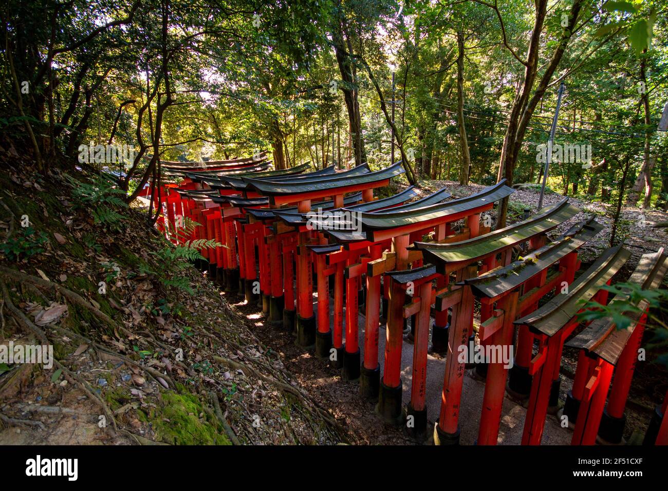 10 gates hi-res stock photography and images - Alamy
