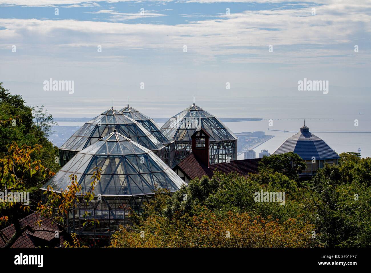Japan herb hi-res stock photography and images - Alamy