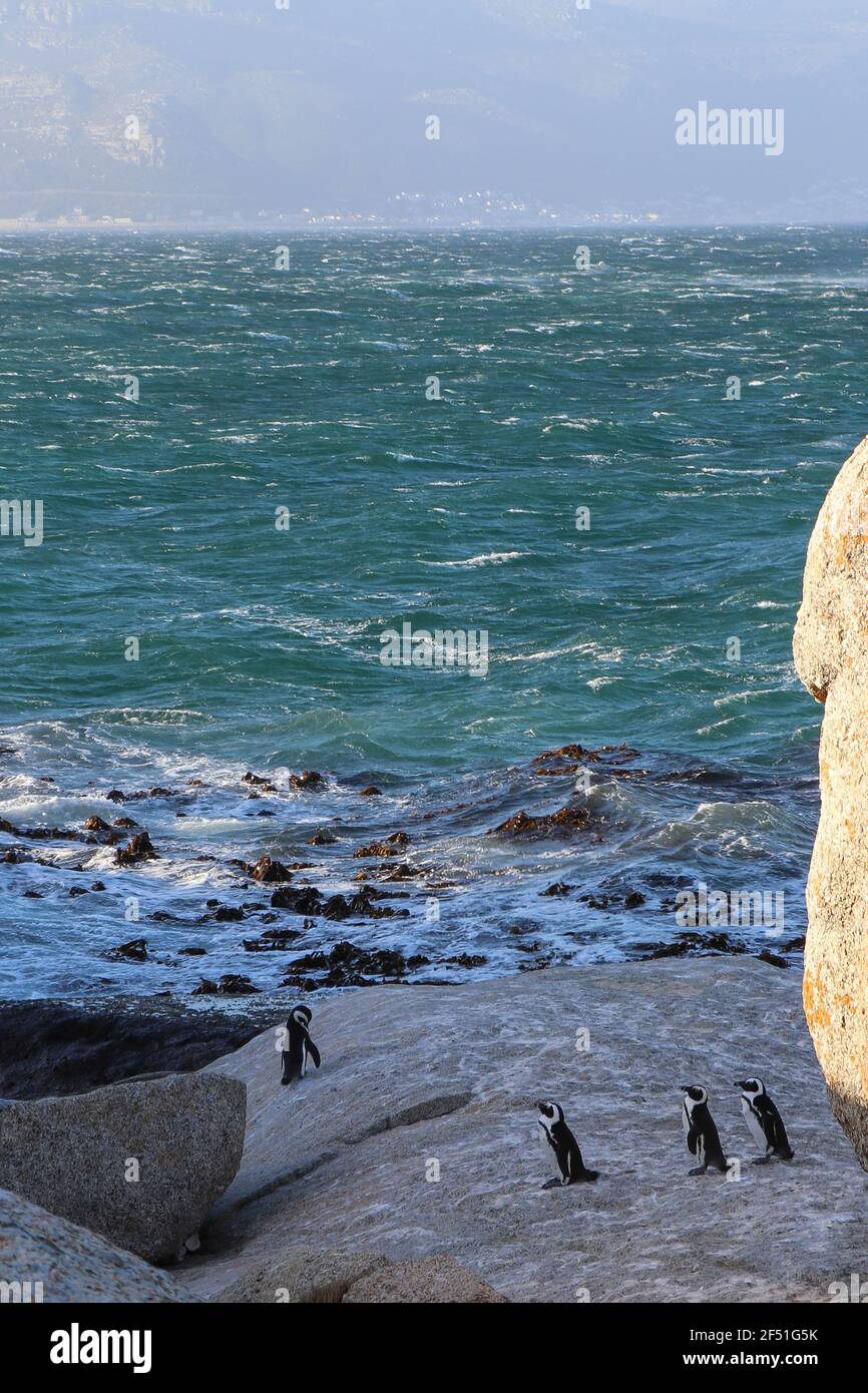 South africa apartheid beach hi-res stock photography and images - Alamy
