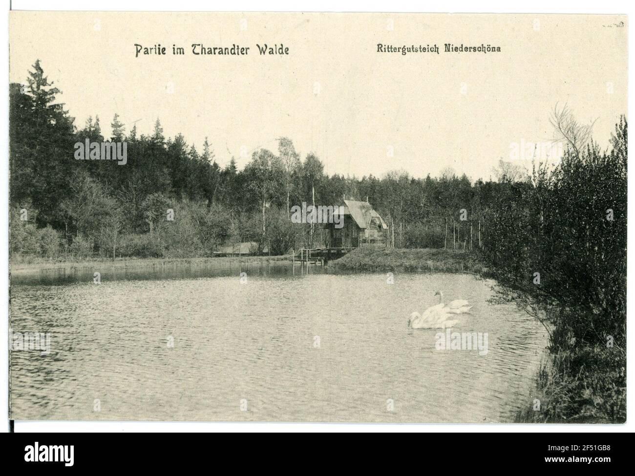 Knight's pond Niederschöna. Knight's pond Stock Photo - Alamy