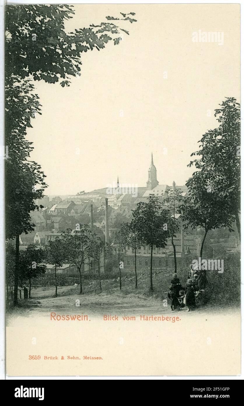 View of the city from the Hardberge Rosswein. View of the city from ...