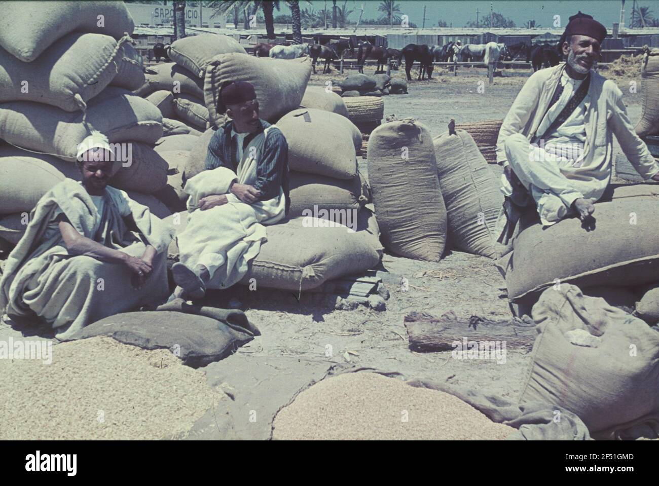 Travel photos Libya. Load carrier before filled bags during a break ...