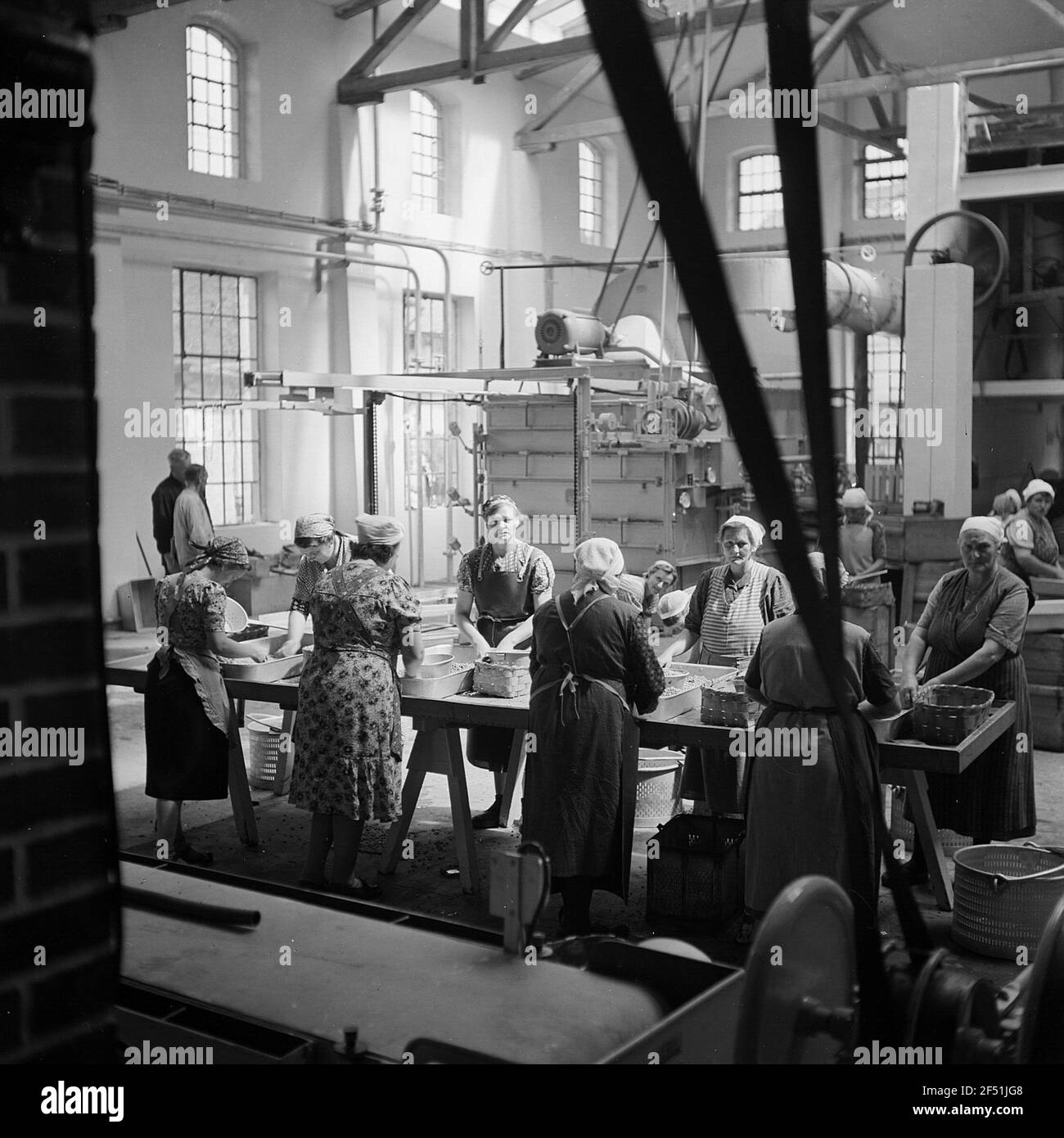 Sorting Peas High Resolution Stock Photography and Images - Alamy