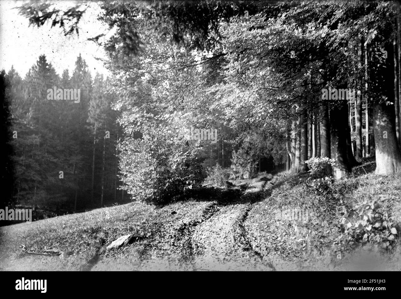 Hemm hi-res stock photography and images - Alamy