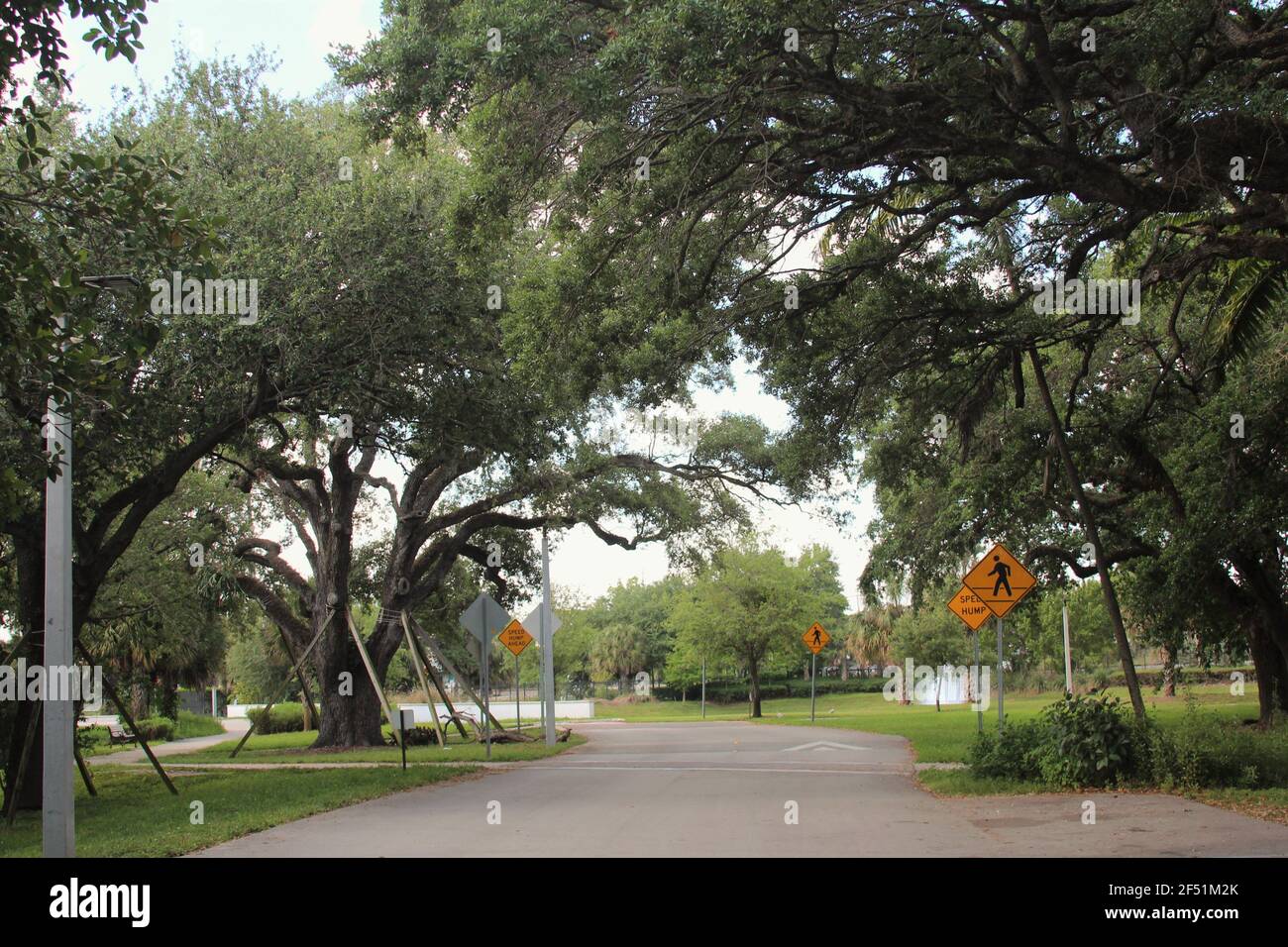 Park photography in the day Stock Photo - Alamy
