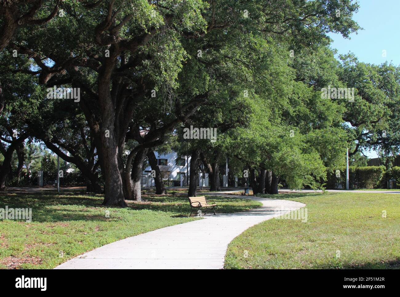 Park photography in the day Stock Photo - Alamy