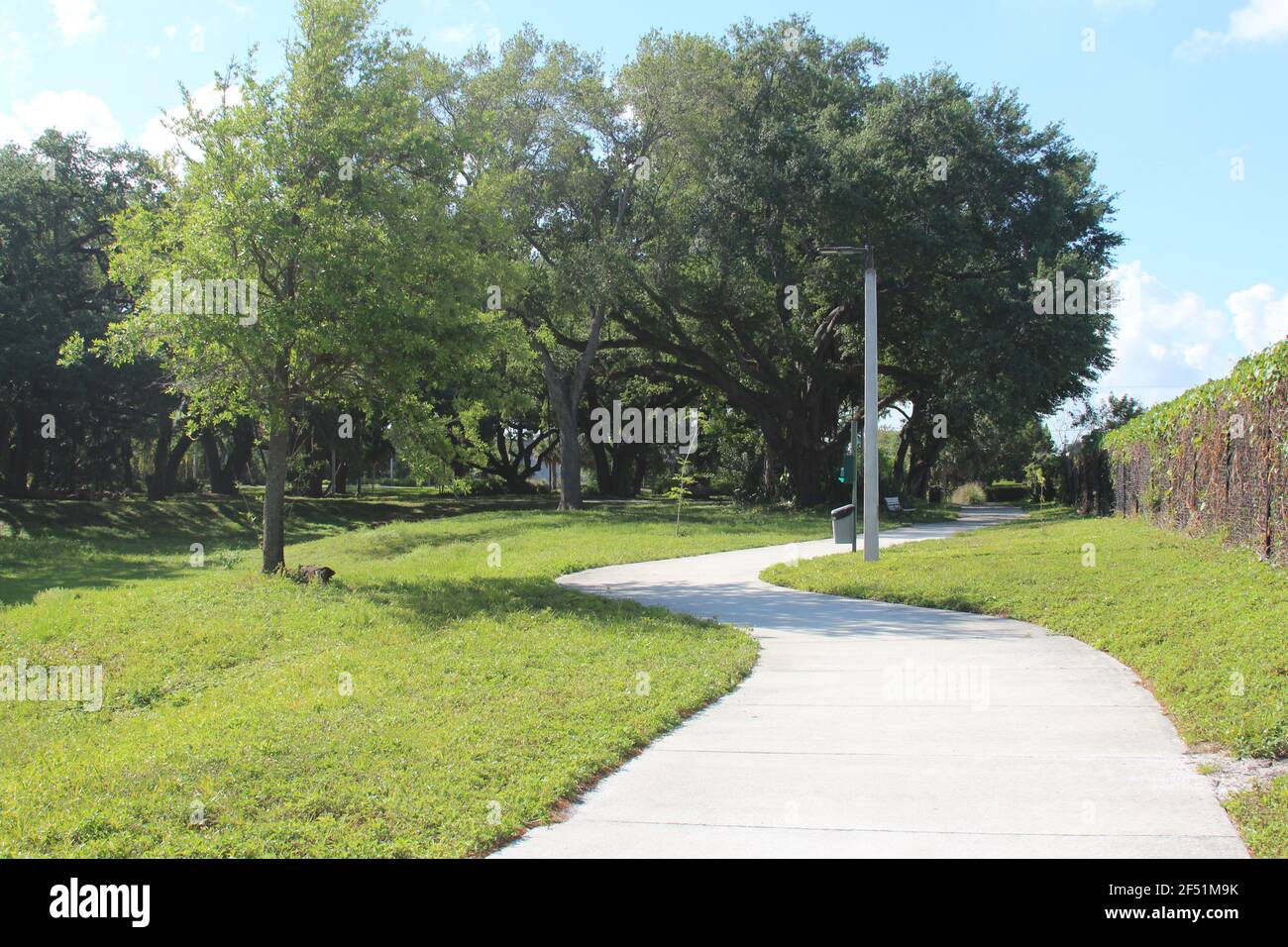 Park photography in the day Stock Photo - Alamy