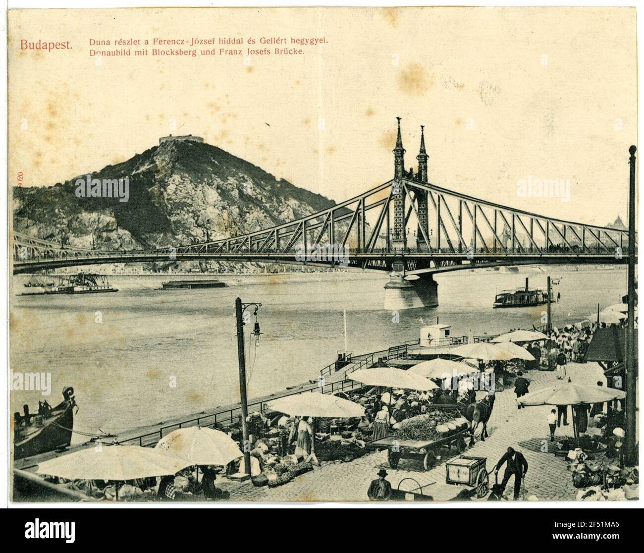 Danube picture with Blocksberg and Franz Josefs Bridge Budapest. Danube ...