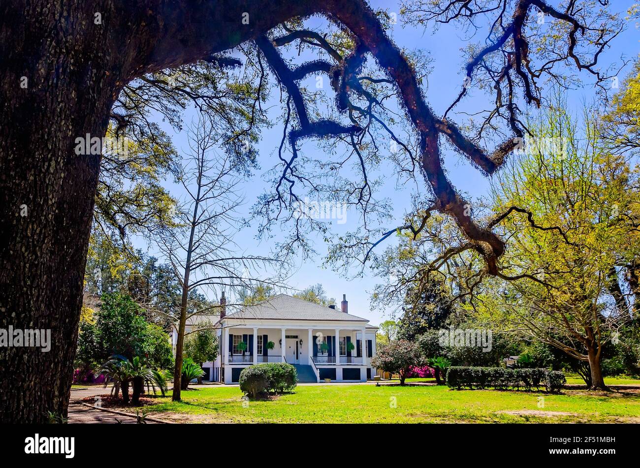 Stewartfield, an 1849 Greek Revival cottage, is pictured on the Avenue ...