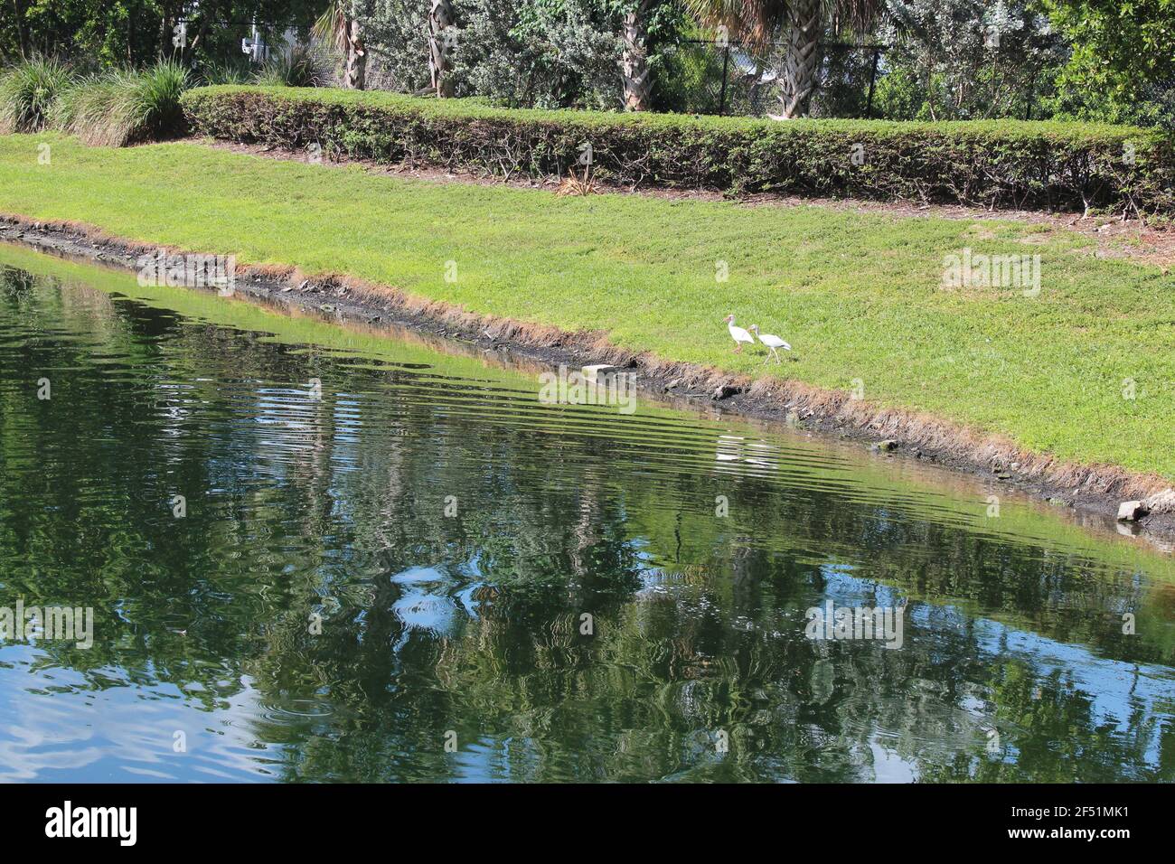 Outdoor Park Photography during the day Stock Photo - Alamy