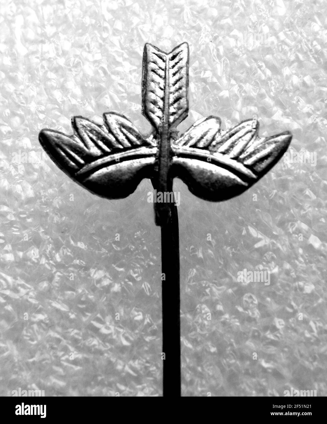 Winged badge hi-res stock photography and images - Alamy