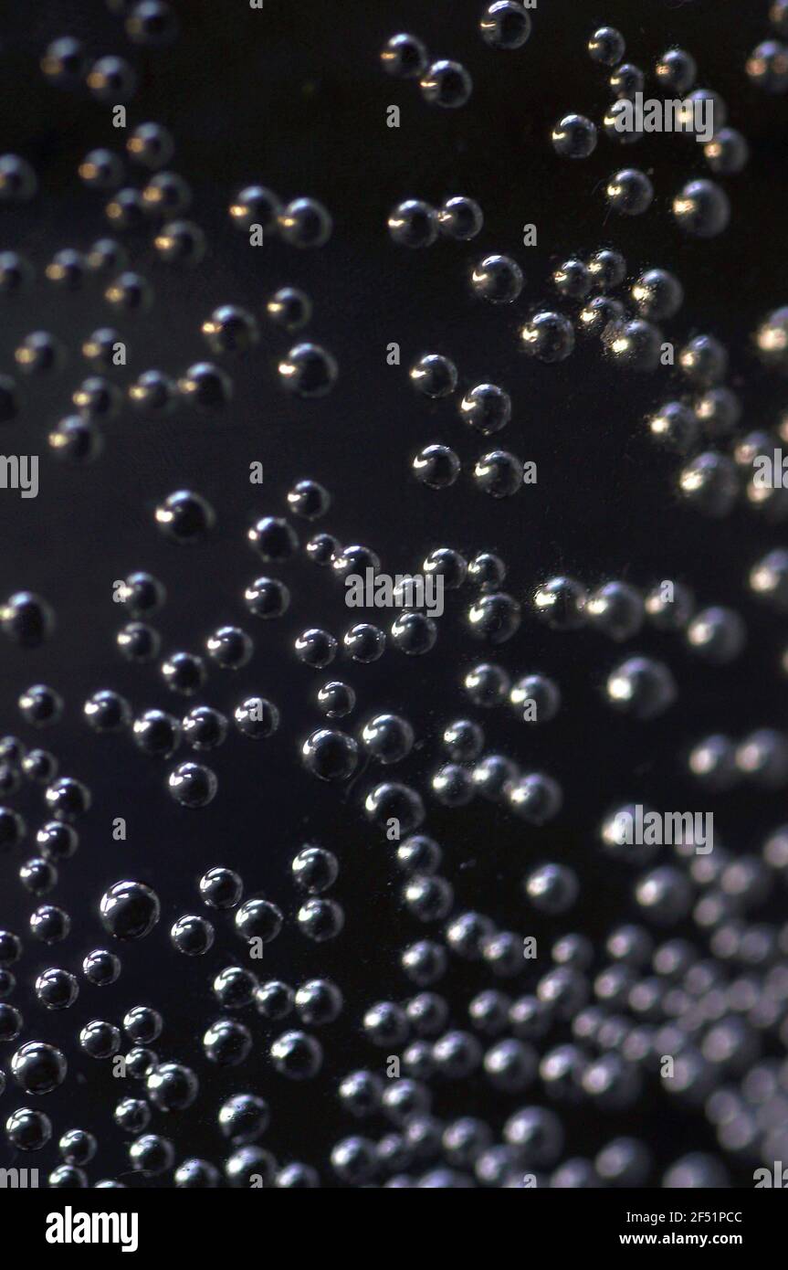 Close-up of gas bubbles in water. Soda water on close-up. Carbonated ...