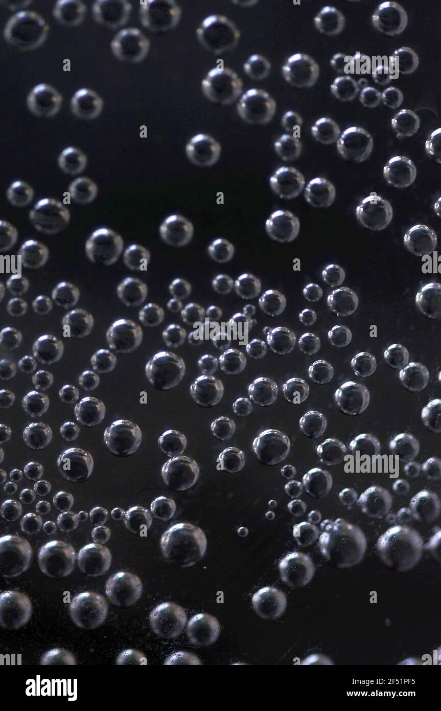 Close-up of gas bubbles in water. Soda water on close-up. Carbonated ...