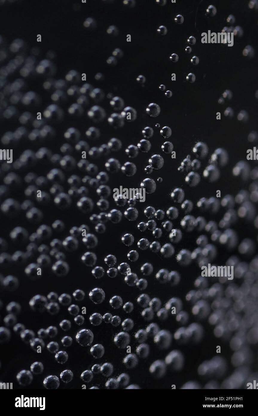 Close-up of gas bubbles in water. Soda water on close-up. Carbonated ...