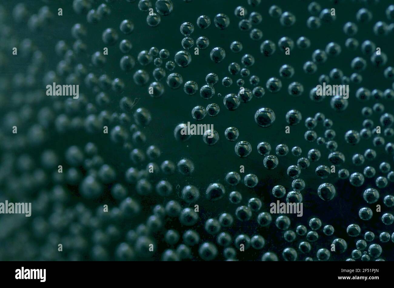 Close-up of gas bubbles in water. Soda water on close-up. Carbonated ...