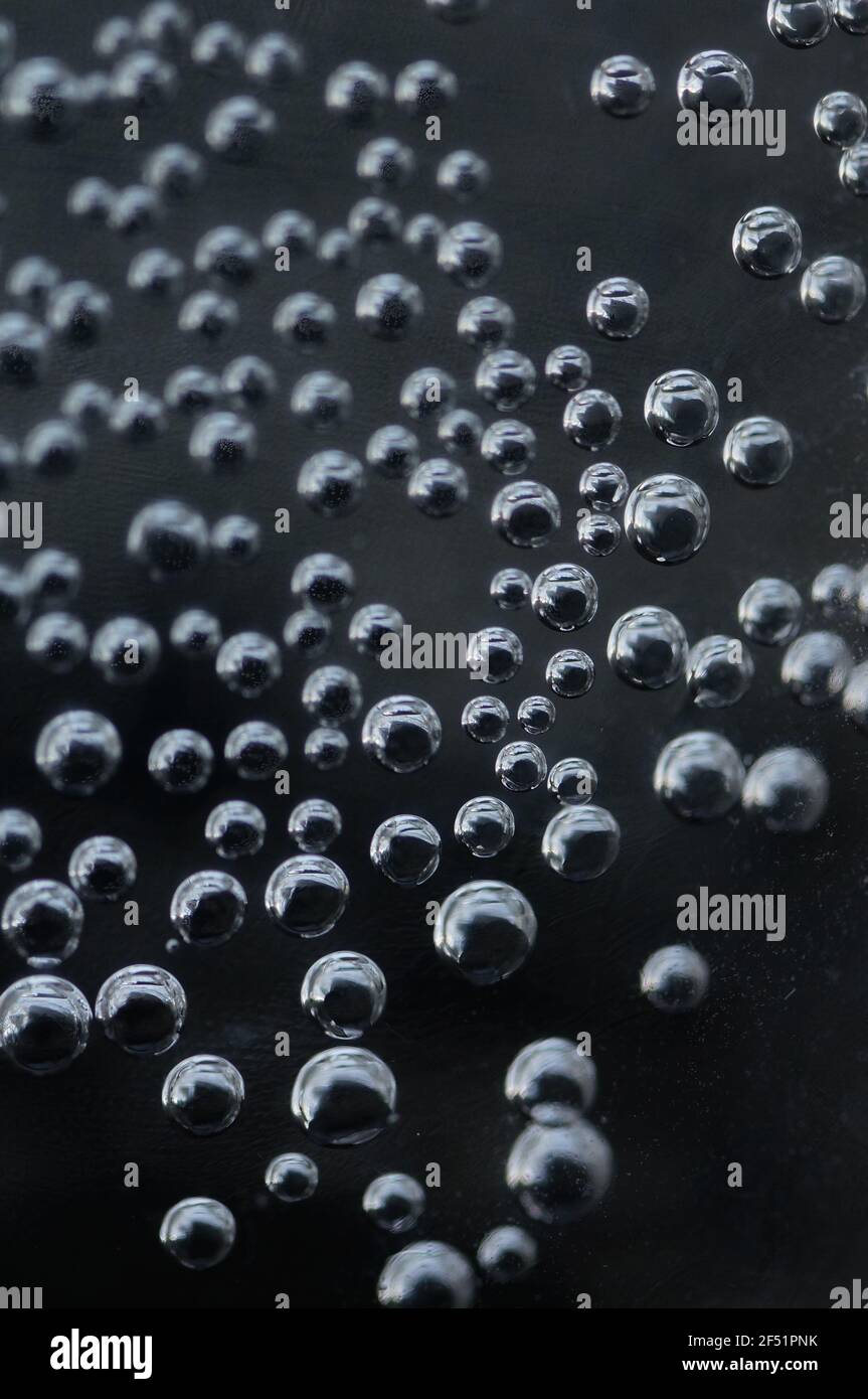 Close-up of gas bubbles in water. Soda water on close-up. Carbonated ...