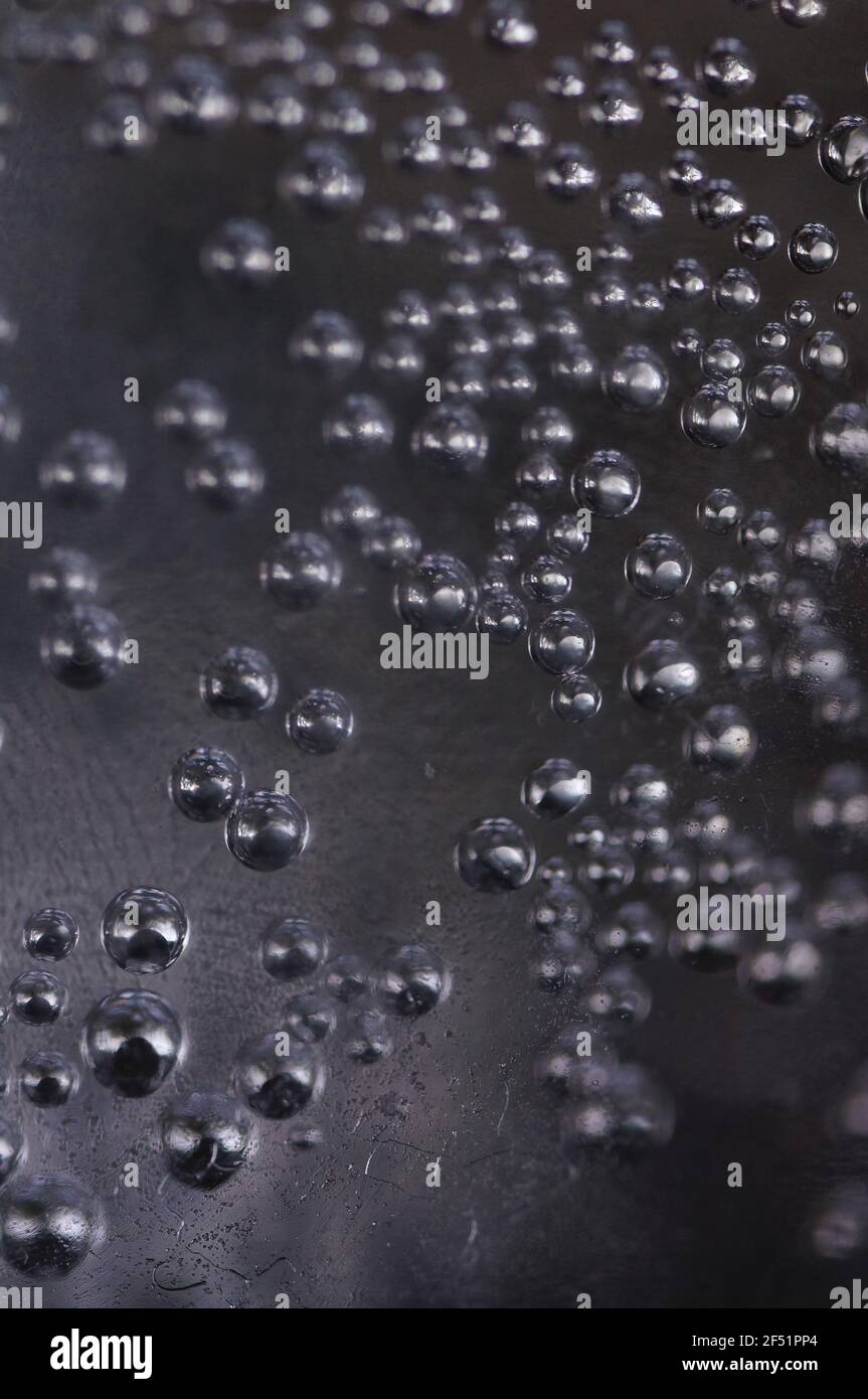 Close-up of gas bubbles in water. Soda water on close-up. Carbonated ...