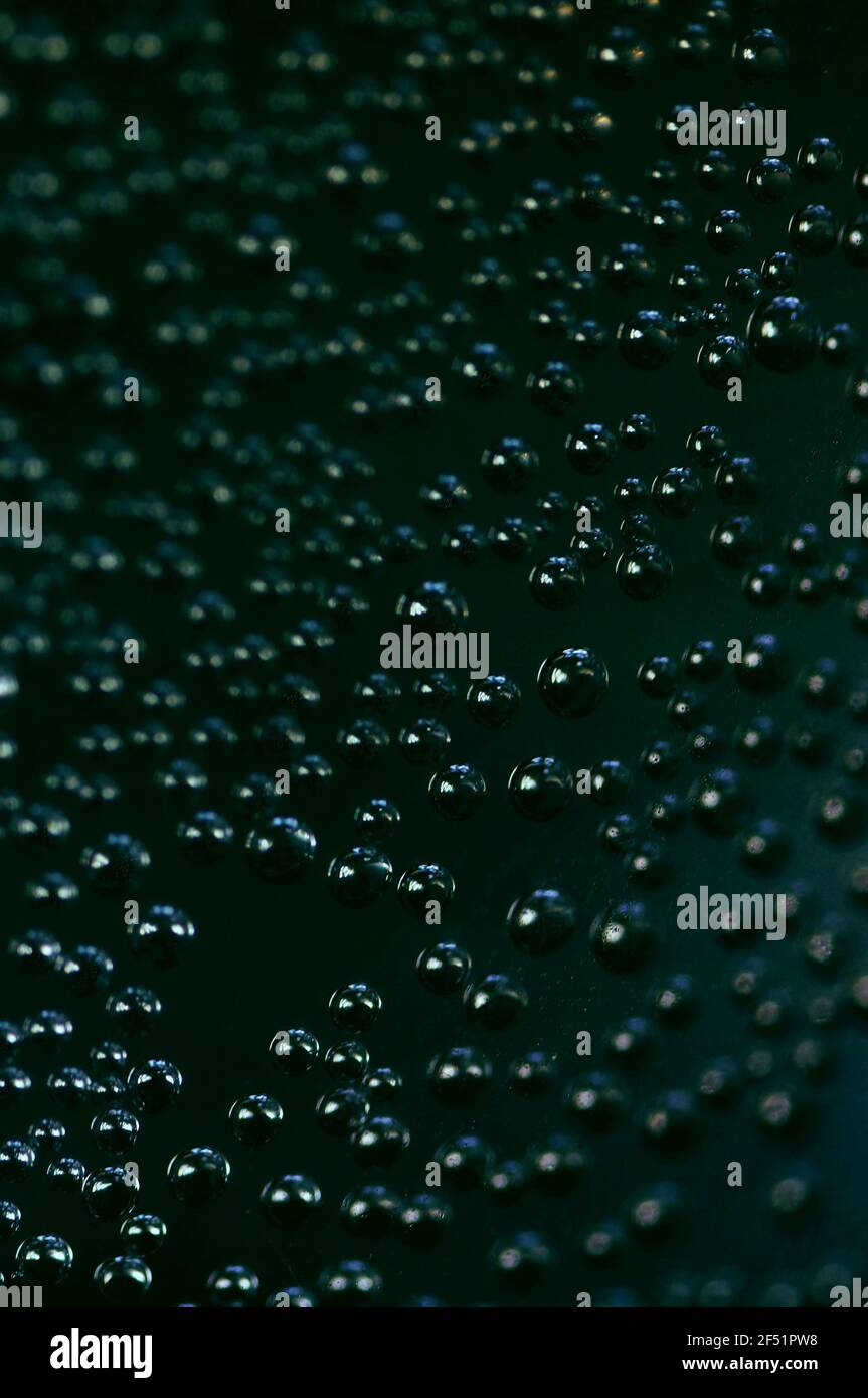 Close-up of gas bubbles in water. Soda water on close-up. Carbonated ...
