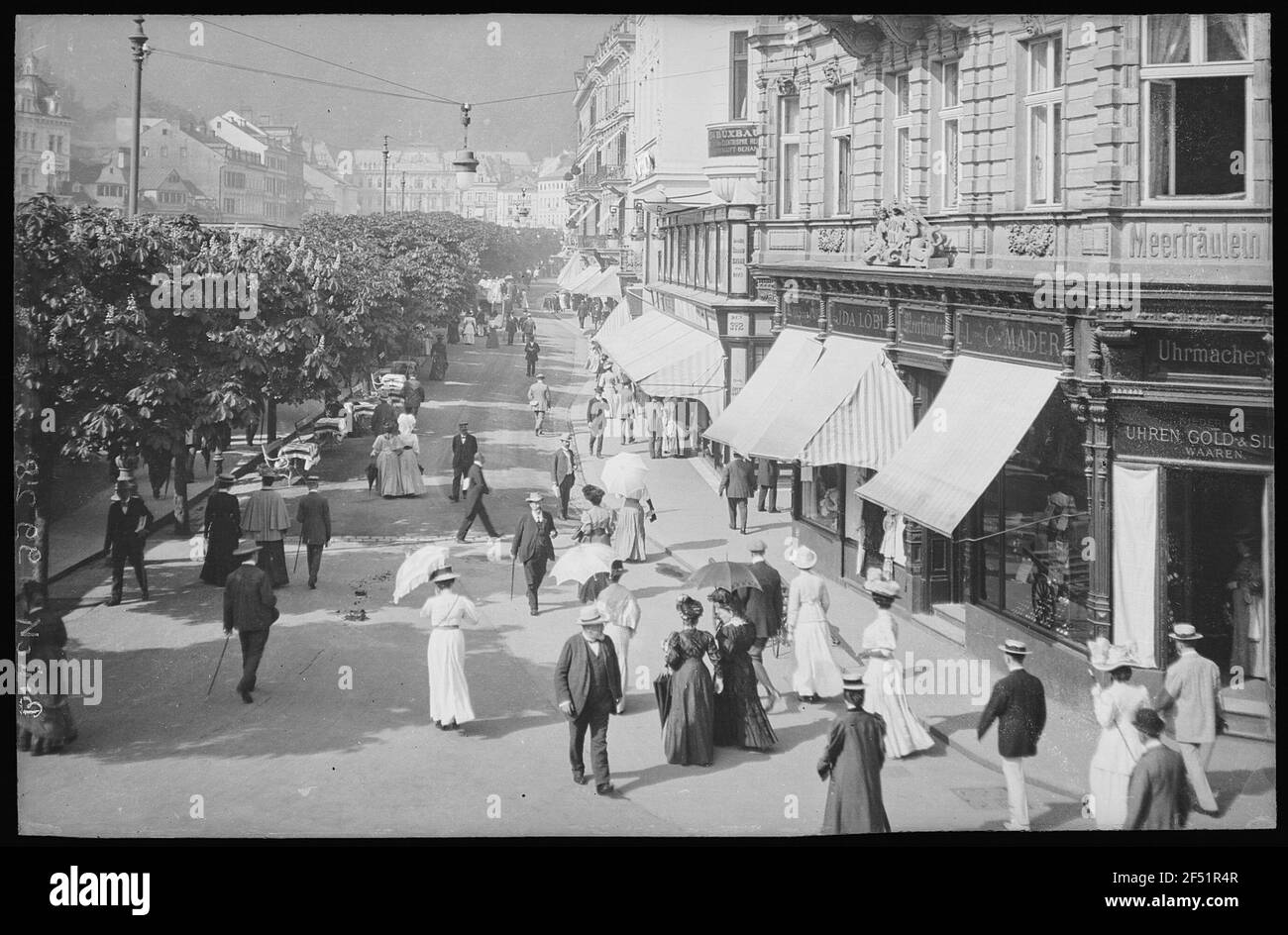 Meadow health Black and White Stock Photos & Images - Alamy