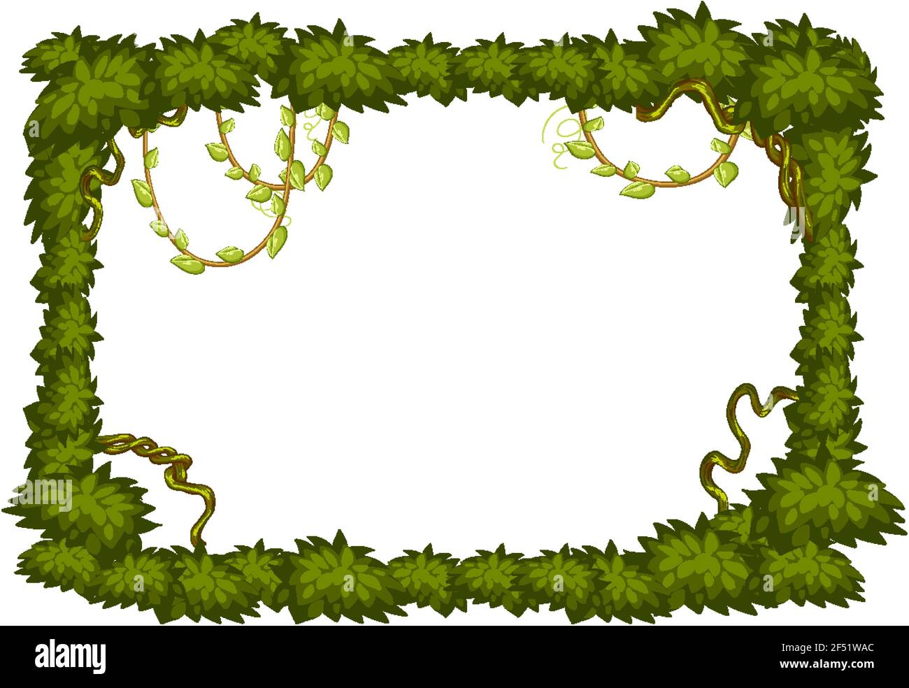 Rainforest Page Border