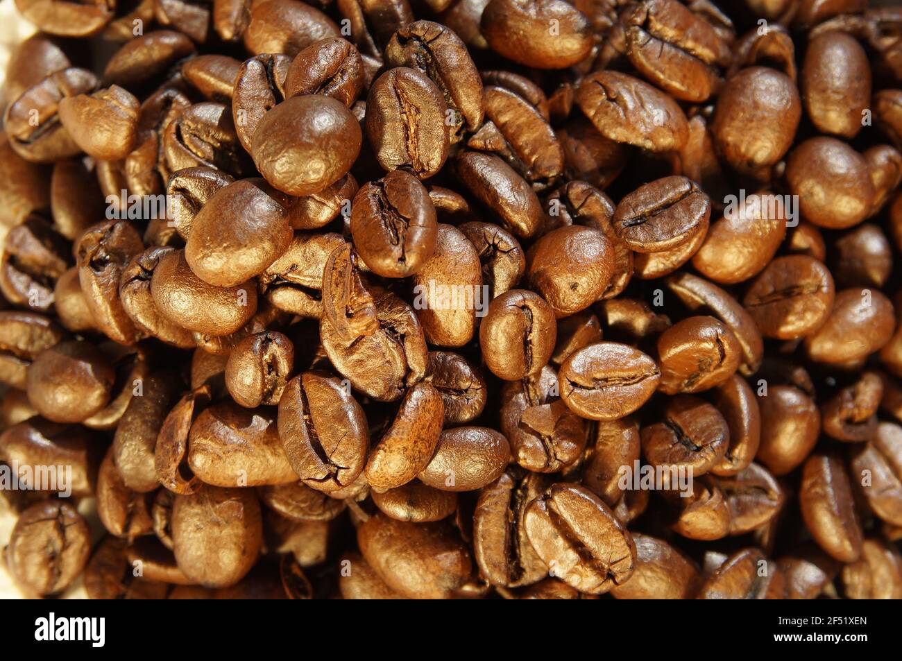 Daylight coffee shop hi-res stock photography and images - Alamy