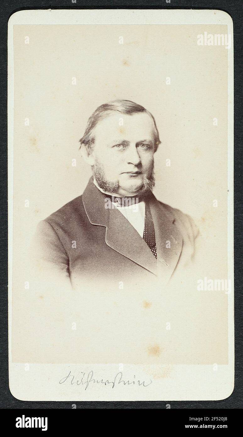 Prominent beetle hi-res stock photography and images - Alamy