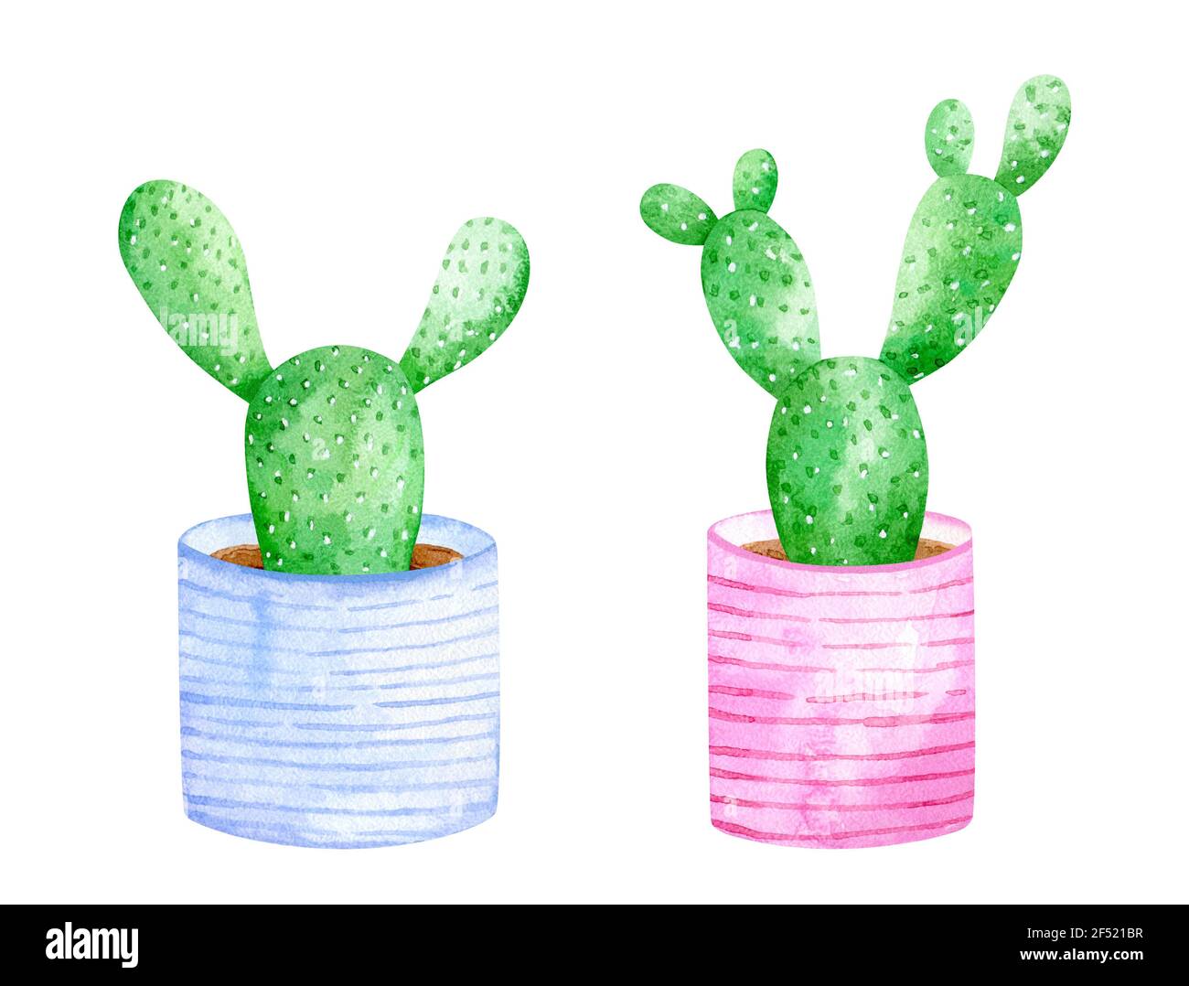 Watercolor set of cute cacti in decorated blue and pink pots ...