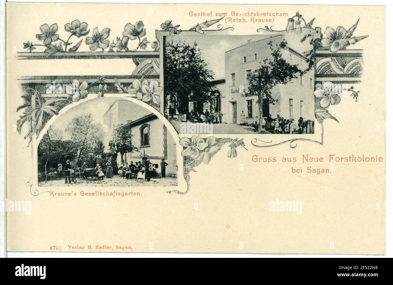 New forest colony Sagan. New forest colony Stock Photo - Alamy