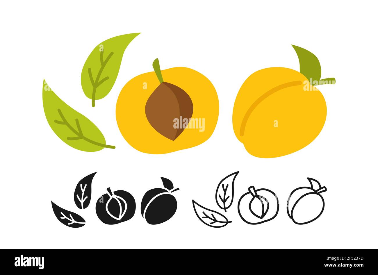 Apricot cartoon set line icon, black glyph style. Summer apricots icon ...