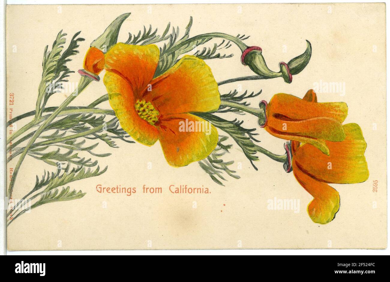 Floral card Blumenkarte "Greetings from California Stock Photo - Alamy