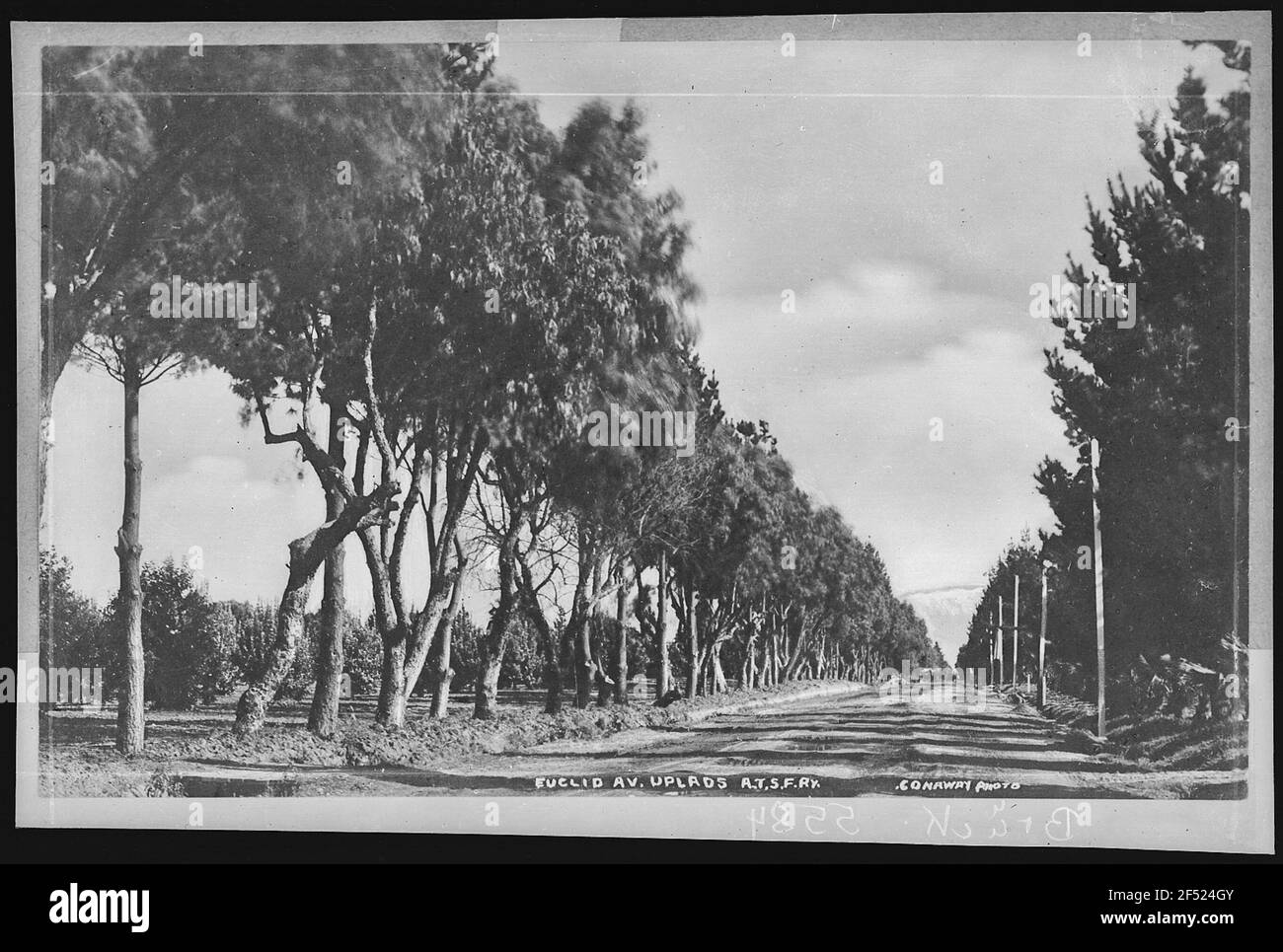 Upland. Euclid Ave., Upland, Ca Stock Photo - Alamy