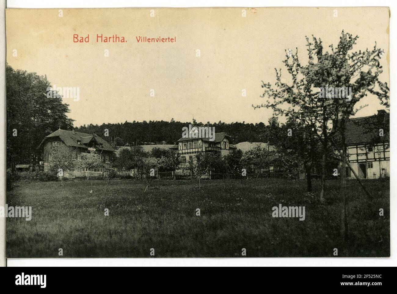 Villa district Hartha. Villenviertel Stock Photo - Alamy