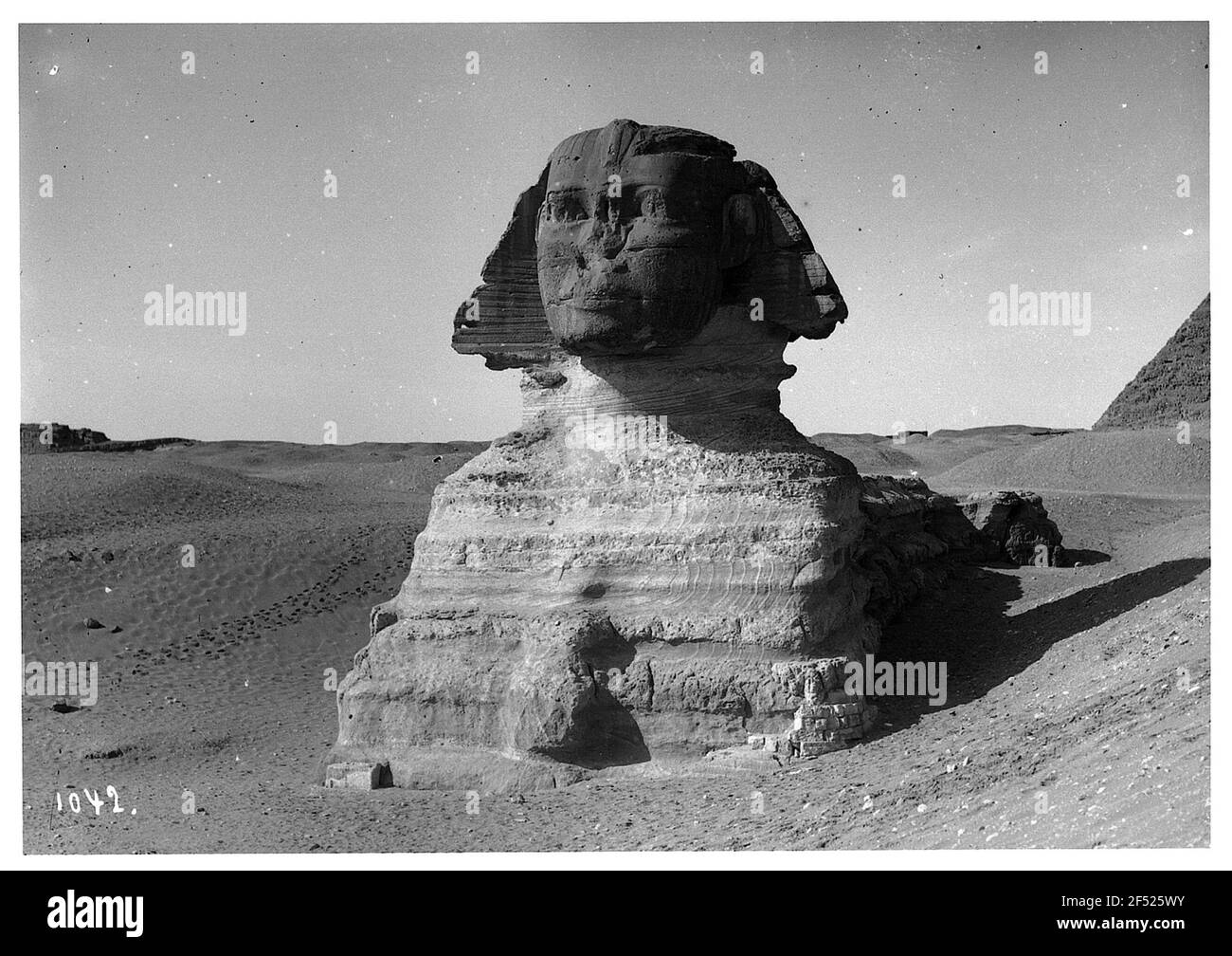 Giza (Egypt). sphinx Stock Photo - Alamy