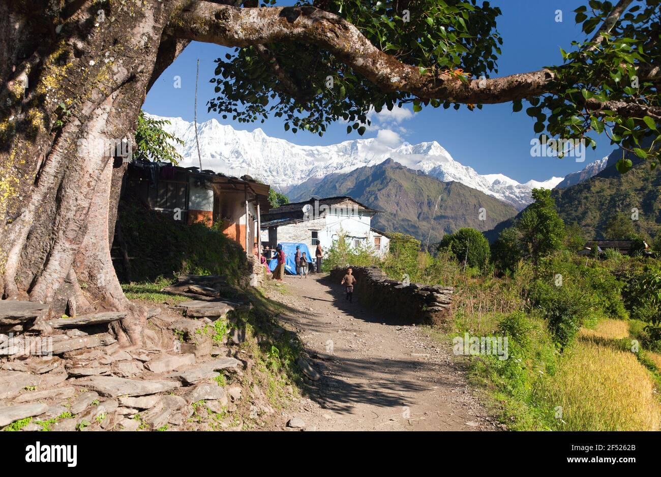 Nepal countryside hi-res stock photography and images - Alamy