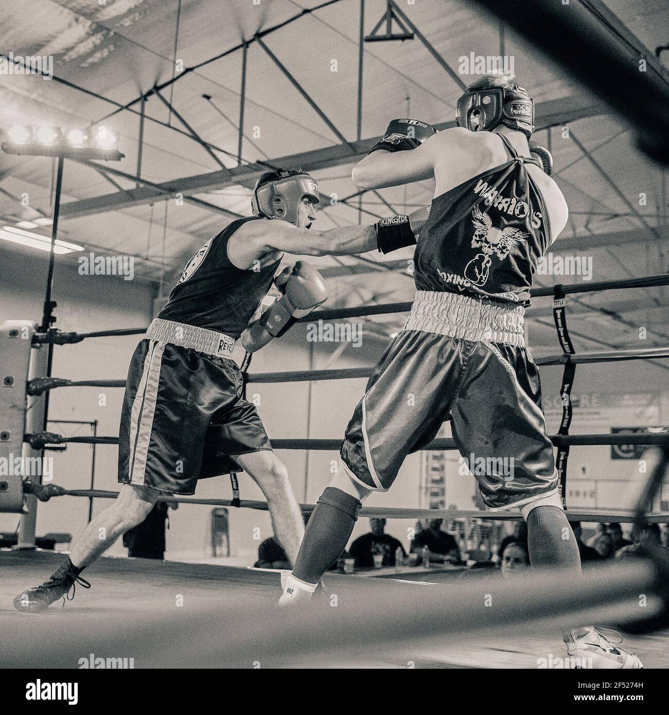 Amateur boxing match Stock Photo - Alamy