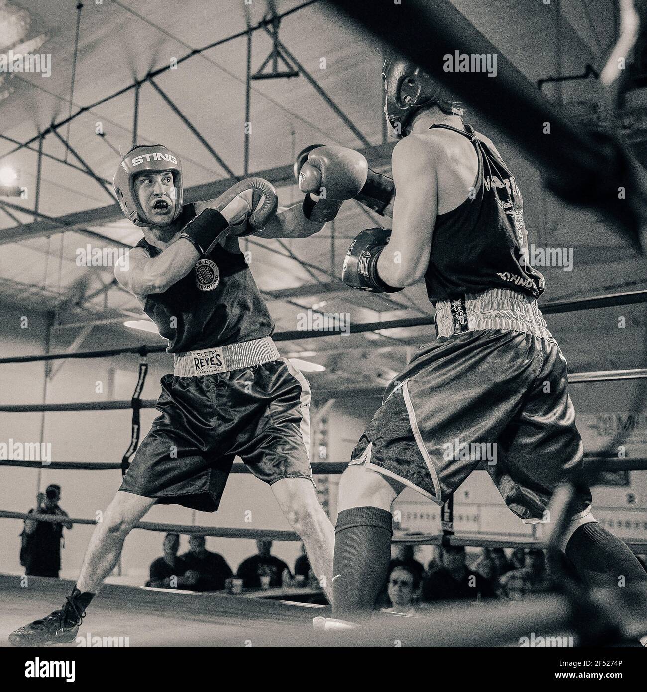 Amateur boxing match Stock Photo - Alamy