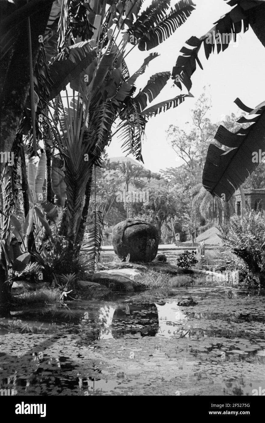 Sustainable garden Black and White Stock Photos & Images - Alamy