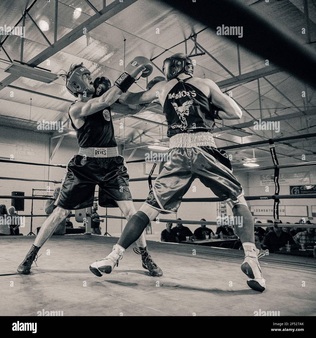 Amateur boxing match Stock Photo - Alamy