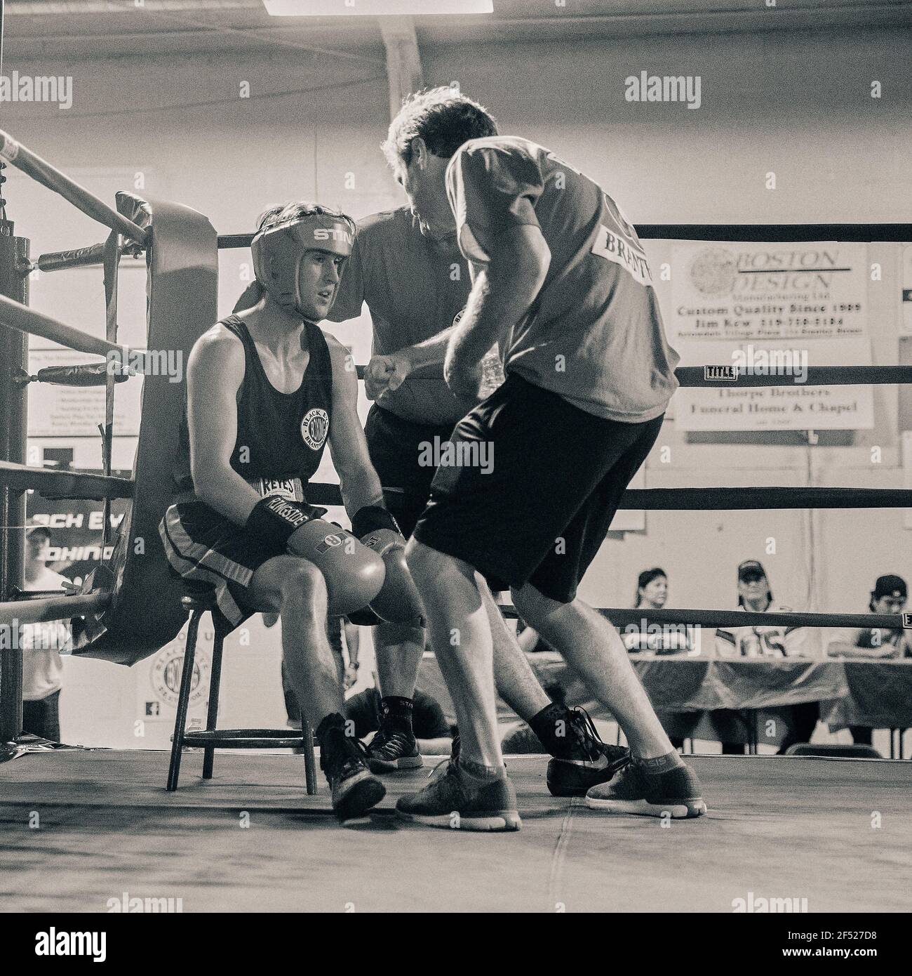 Amateur boxing match Stock Photo - Alamy