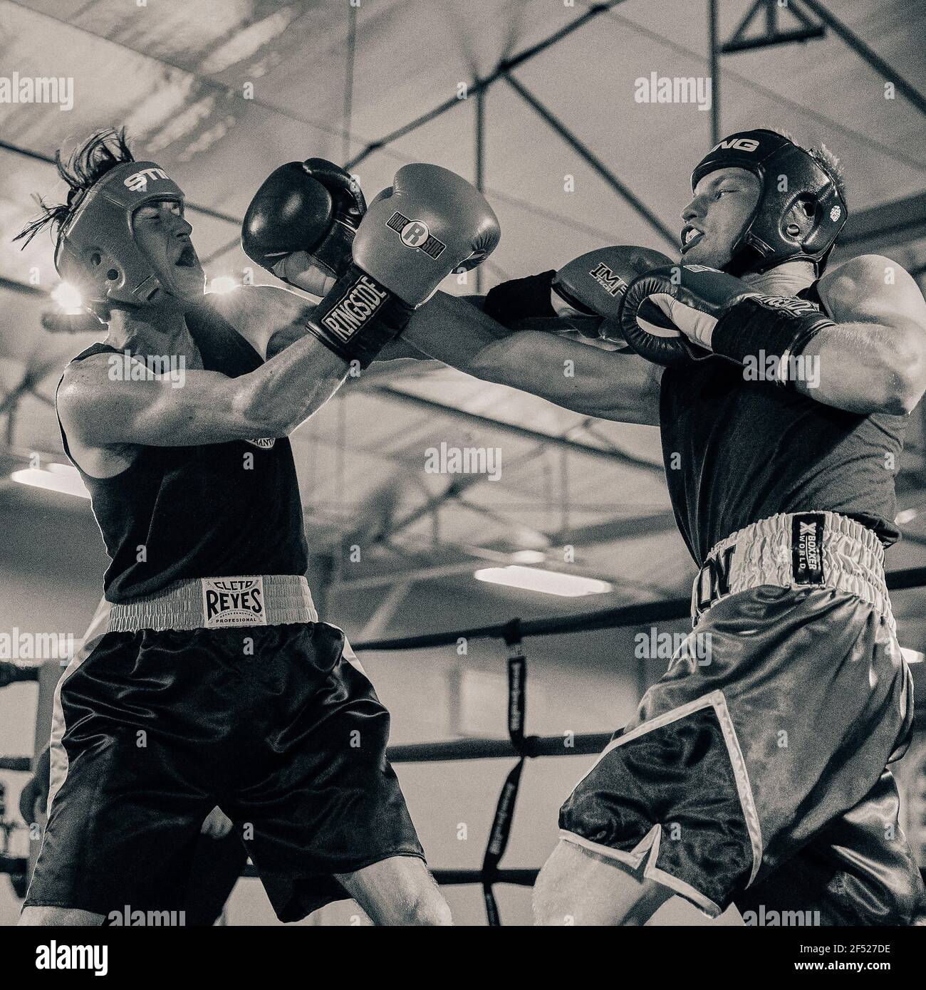 Amateur boxing match Stock Photo - Alamy